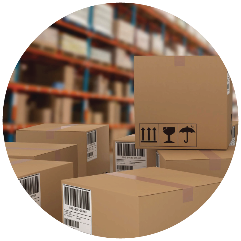 KSS Enterprises | BradyPLUS