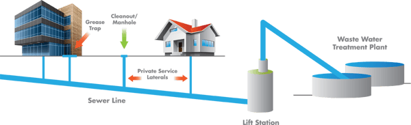 WAXIE Bioactive Maintenance | BradyPLUS