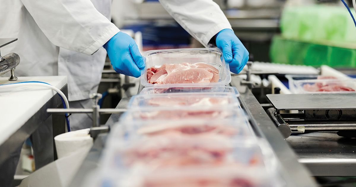 Food Processing Solutions | BradyPLUS